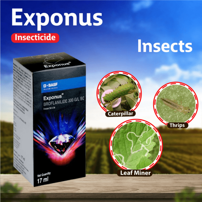 Confidor - Insecticide Imidacloprid 200 SL (17.8 % w/w)