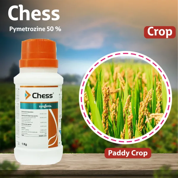 Chess - Insecticide