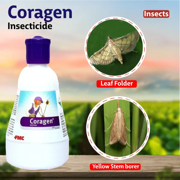Coragen - Insecticide